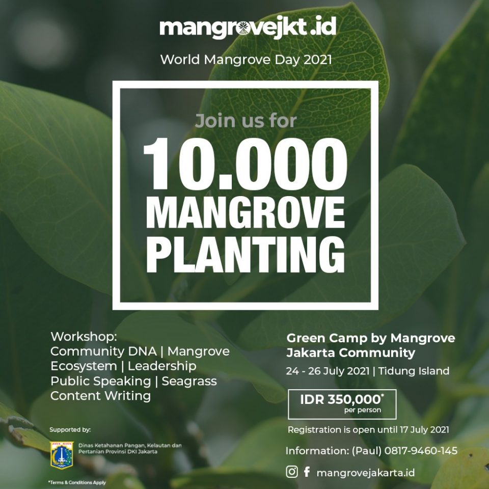 World Mangrove Day 2021, Mangrove Jakarta Community is about to plant ...